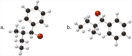 Solved Use your molecular modeling kit and build these three | Chegg.com