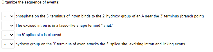 Solved 1. 2. True or False: Formation of a perfect hybrid | Chegg.com