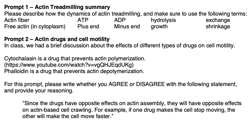 Solved Prompt 1 - Actin Treadmilling summary Please describe | Chegg.com