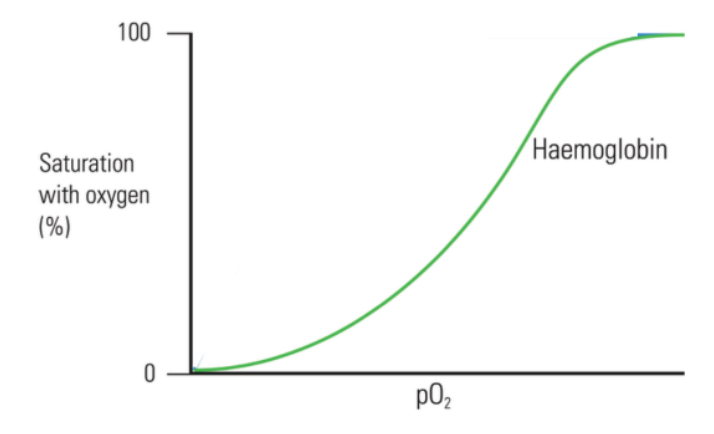 Solved The sigmoidal curve below shows how saturation of | Chegg.com