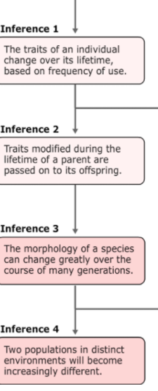 Additional examples of epigenetic (from epi- meaning | Chegg.com