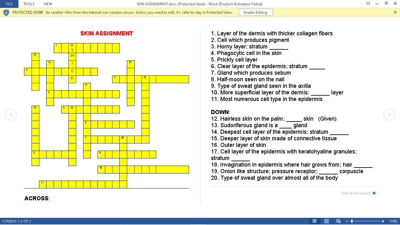 Solved FILE TOOLS VIEW SKIN ASSIGNMENT.docx (Protected View) | Chegg.com