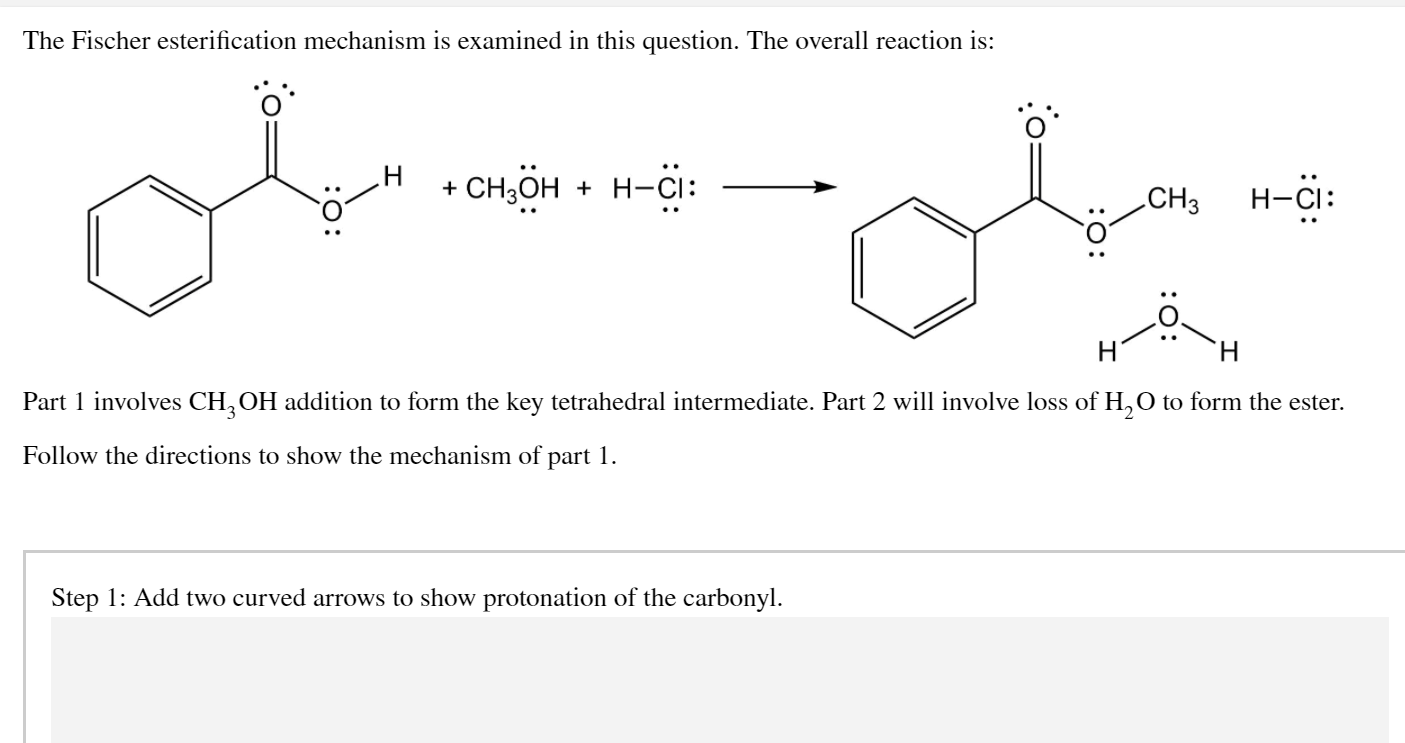 Solved The Fischer esterification mechanism is examined in | Chegg.com