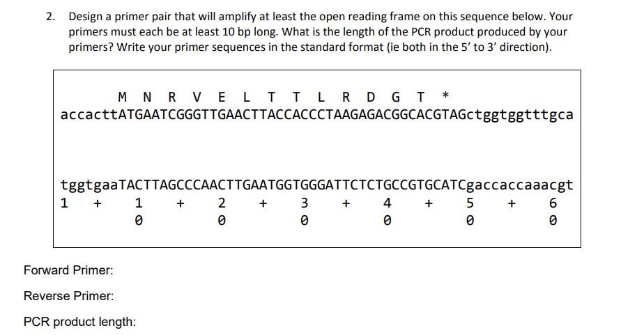 Solved 2. Design a primer pair that will amplify at least | Chegg.com