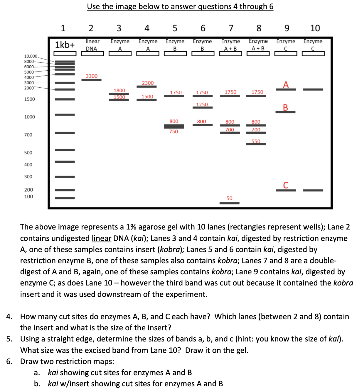 Solved Use the image below to answer questions 4 ﻿through | Chegg.com