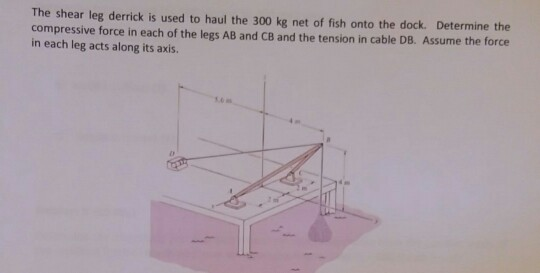 Solved The shear leg derrick is used to haul the 300 kg net | Chegg.com