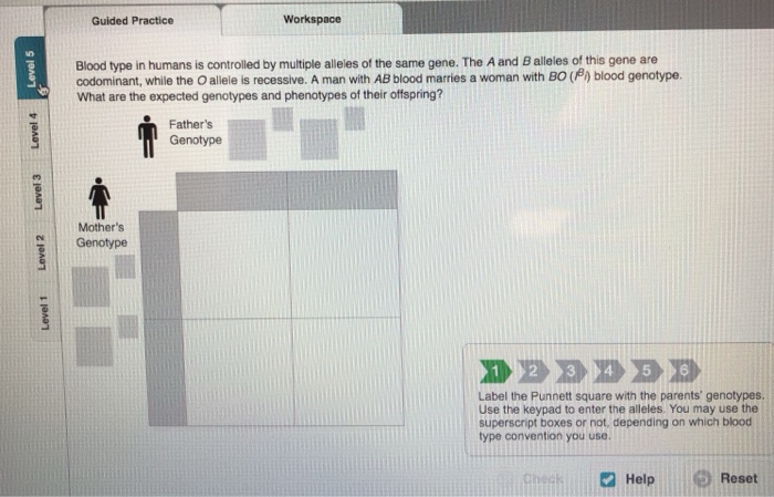Solved Use the interactive Punnett Squares. Level 5 to | Chegg.com