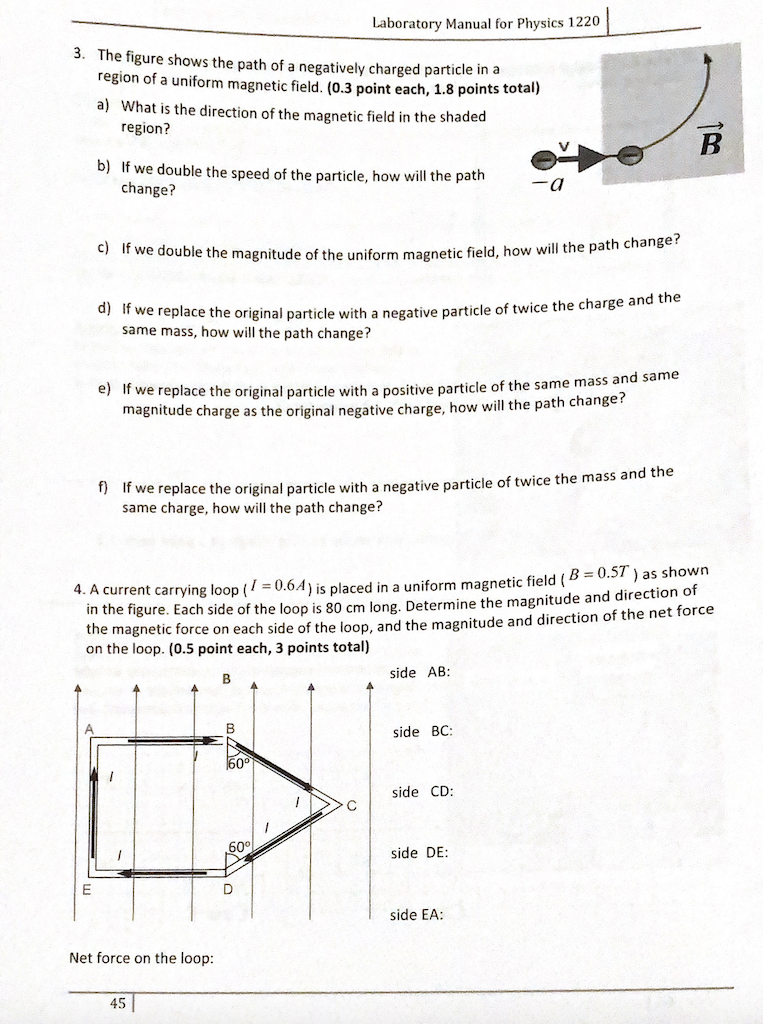Solved Physics Lab Activity 3: Magnetic Fields and Magnetic | Chegg.com