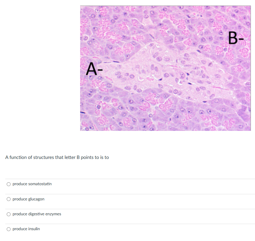 Solved The thread-like structures visible on the | Chegg.com