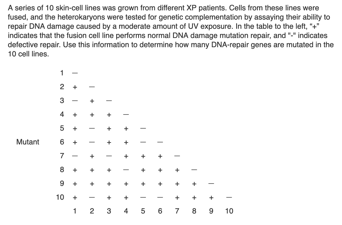 Solved Xeroderma pigmentosum (XP) is an autosomal recessive | Chegg.com