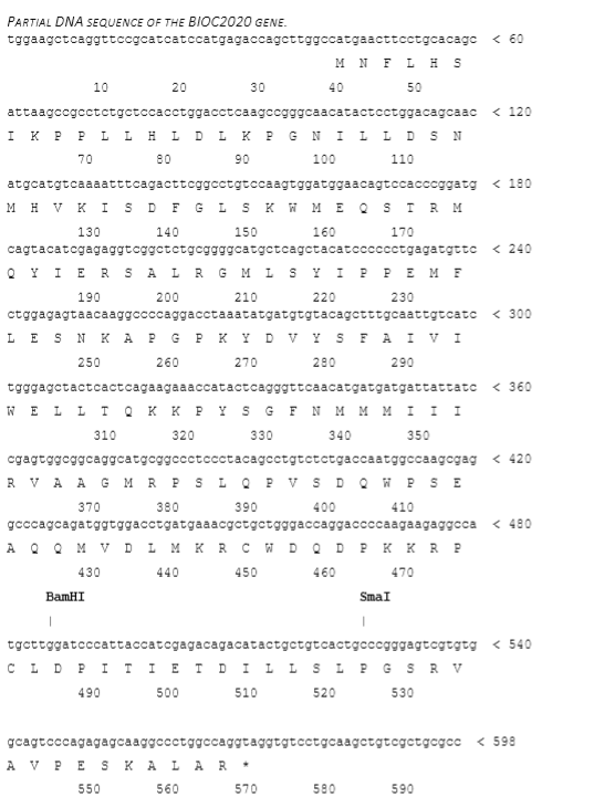 PARTIAL DNA SEQUENCE OF THE BIOC2020 GENE. | Chegg.com