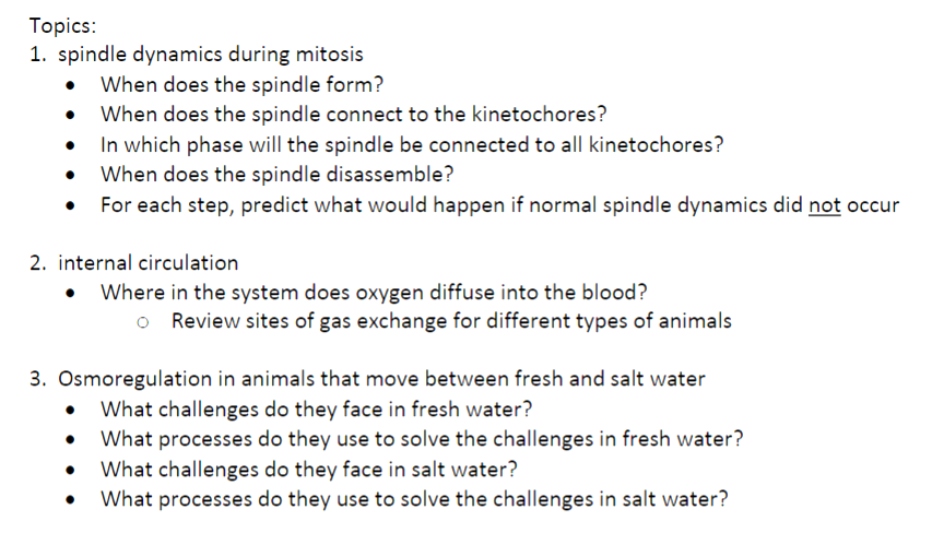 Solved Text version: "1. ﻿spindle dynamics during mitosis | Chegg.com