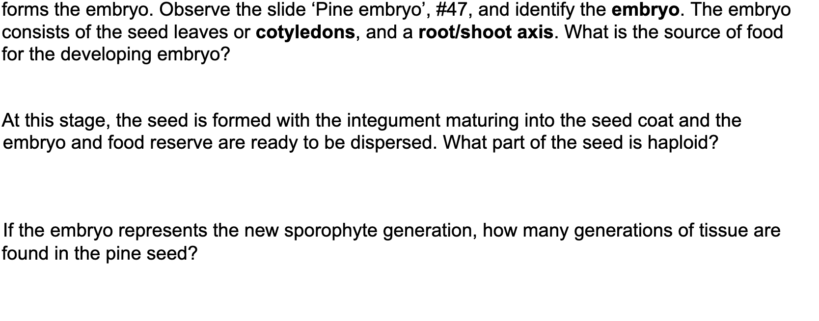 Solved forms the embryo. Observe the slide 'Pine embryo', | Chegg.com