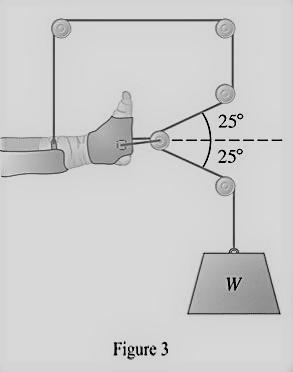 Solved In order to prevent muscle contraction from | Chegg.com
