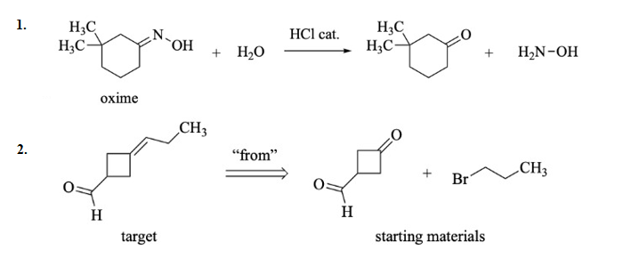 Solved 1. H3C H2C N HCl cat ОН H,C H3C + H2O + H2N-OH oxime | Chegg.com