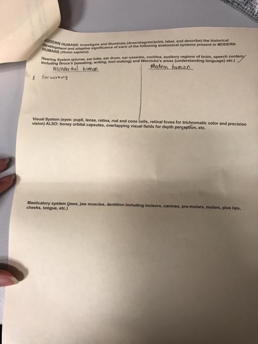 Solved ANTHROPOLOGY MODERN HUMANS | Chegg.com