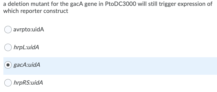 Solved a deletion mutant for the gacA gene in PtoDC3000 will | Chegg.com