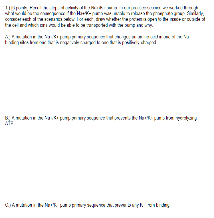 Solved 1.) [6 points] Recall the steps of activity of the | Chegg.com