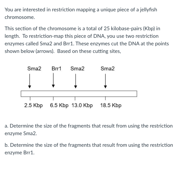 Solved You are interested in restriction mapping a unique | Chegg.com