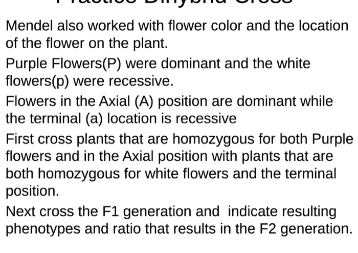 Solved Mendel also worked with flower color and the location | Chegg.com