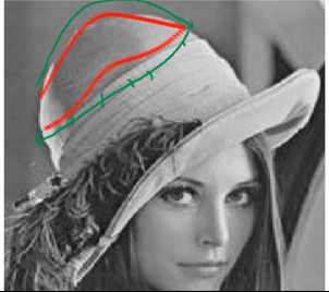 Solved using spline3.m on the outlines of lena.jpeg, print | Chegg.com