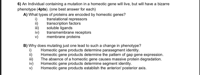 Solved 6) An Individual containing a mutation in a homeotic | Chegg.com