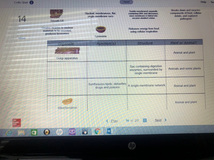 Solved Complete the table by dragging each structure name or | Chegg.com