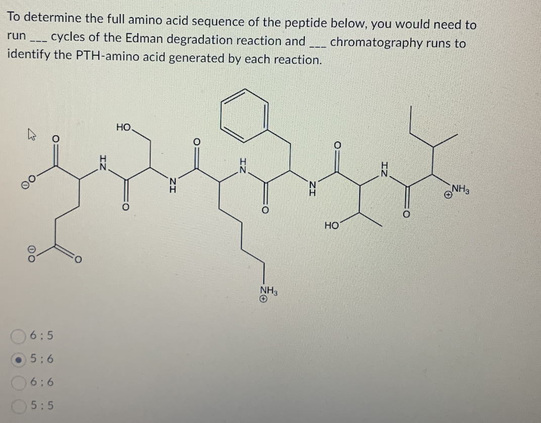 Solved Use the 1-letter code for amino acids to name the | Chegg.com