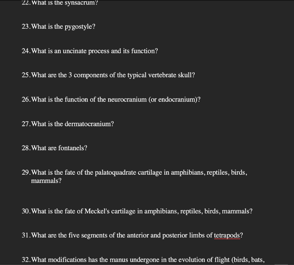 Solved 22. What is the synsacrum? 23. What is the pygostyle? | Chegg.com