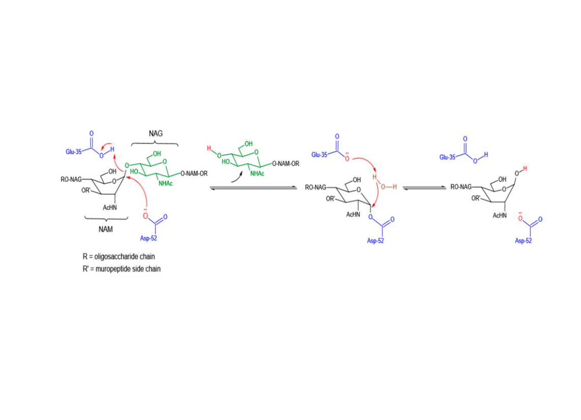 Solved Describe the mechanism step by step. Hydrolytic | Chegg.com