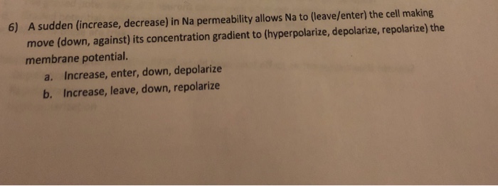 Solved 6) A sudden (increase, decrease) in Na permeability | Chegg.com