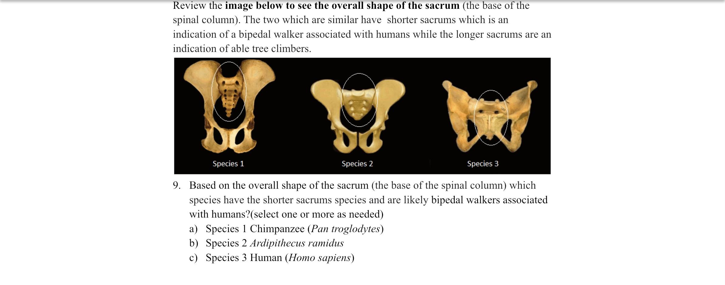 Solved Review the image below to see the overall shape of | Chegg.com