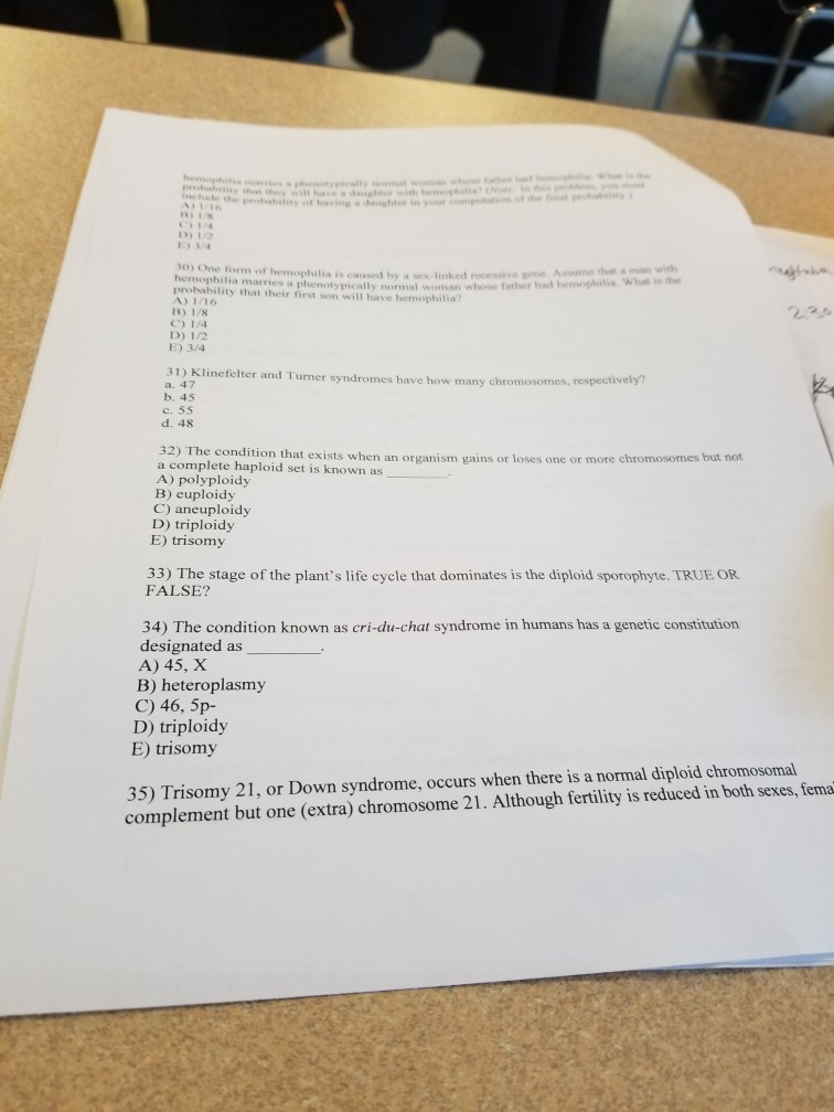 Solved I hamn hemophilis tine homophilia m ieshent father | Chegg.com