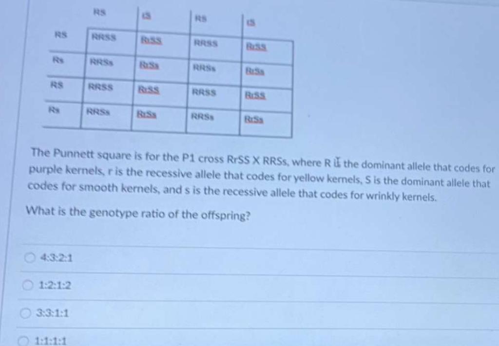 Solved RS RASS RRSS RS RRSS RSS RRSS RSS RRSS RRSS Risa The | Chegg.com