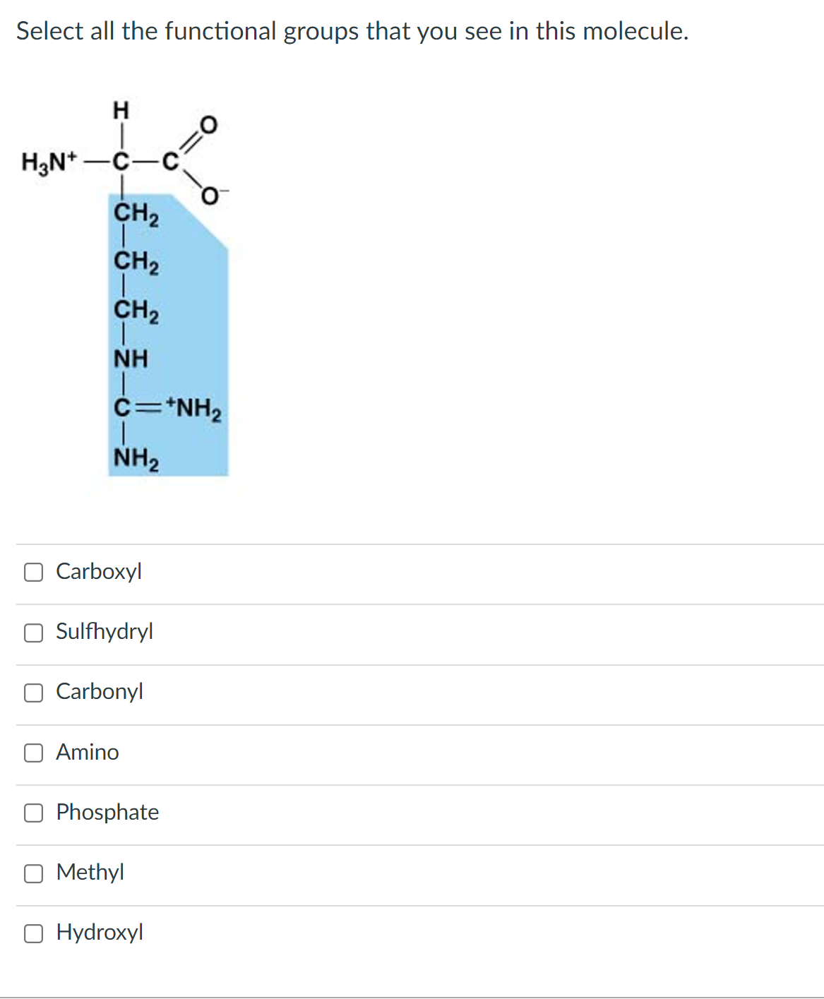 Solved Select all the functional groups that you see in this | Chegg.com