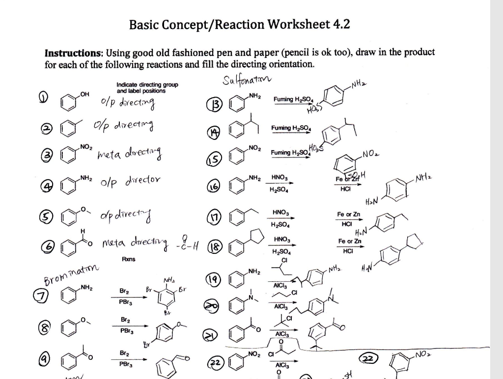 Solved Basic Concept/Reaction Worksheet 4.2 Instructions: | Chegg.com