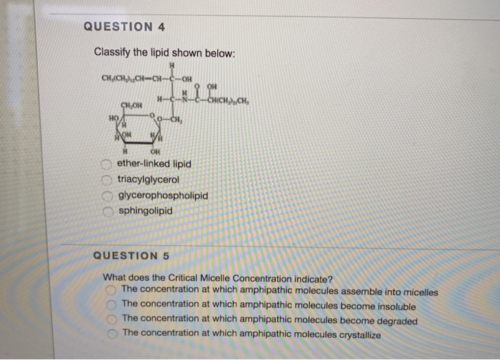 Solved QUESTION 1 Why does DNA replication involve the use | Chegg.com