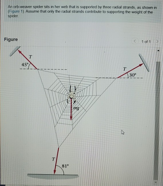 Solved An orb-weaver spider sits in her web that is | Chegg.com