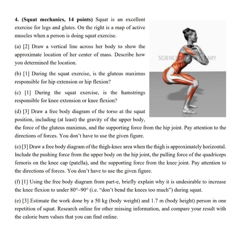 4. (Squat mechanics, 14 points) Squat is an excellent | Chegg.com