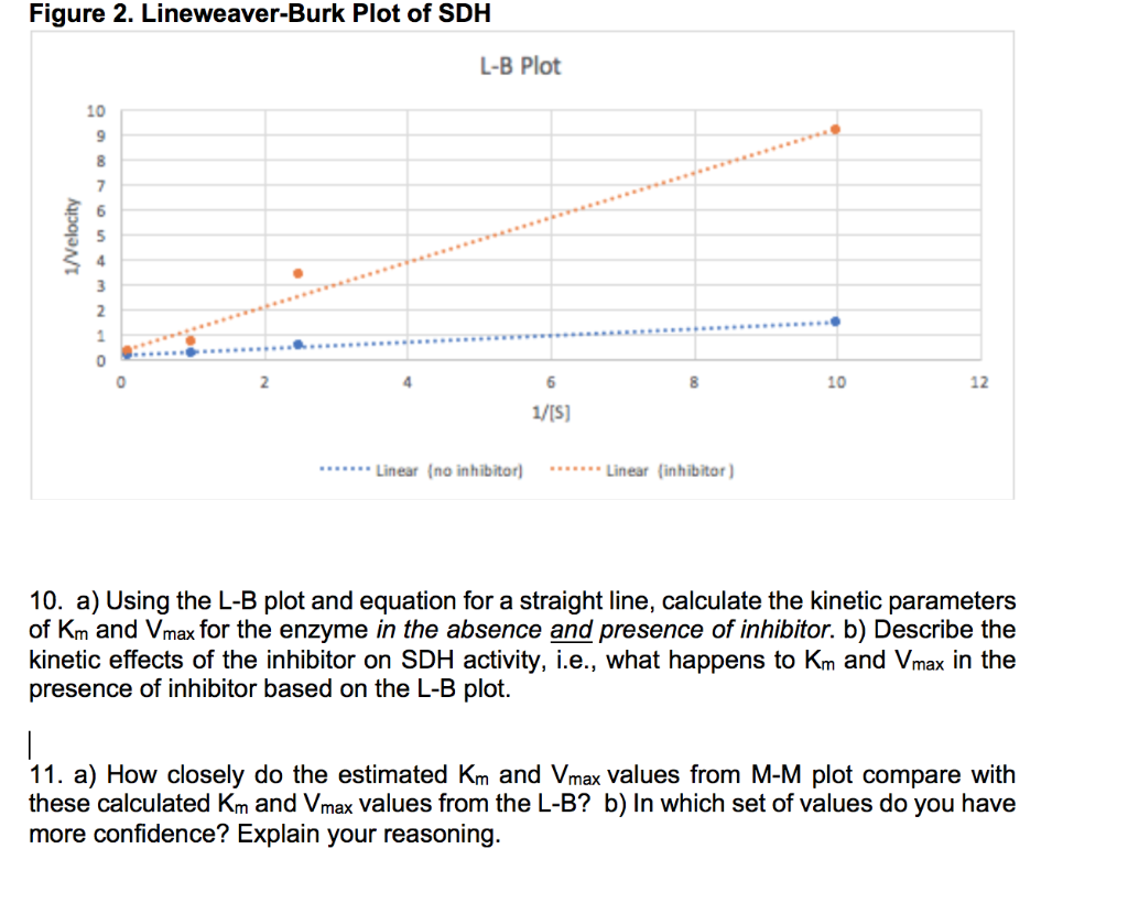 Figure 2. Lineweaver-Burk Plot of SDH L-B Plot 10 | Chegg.com