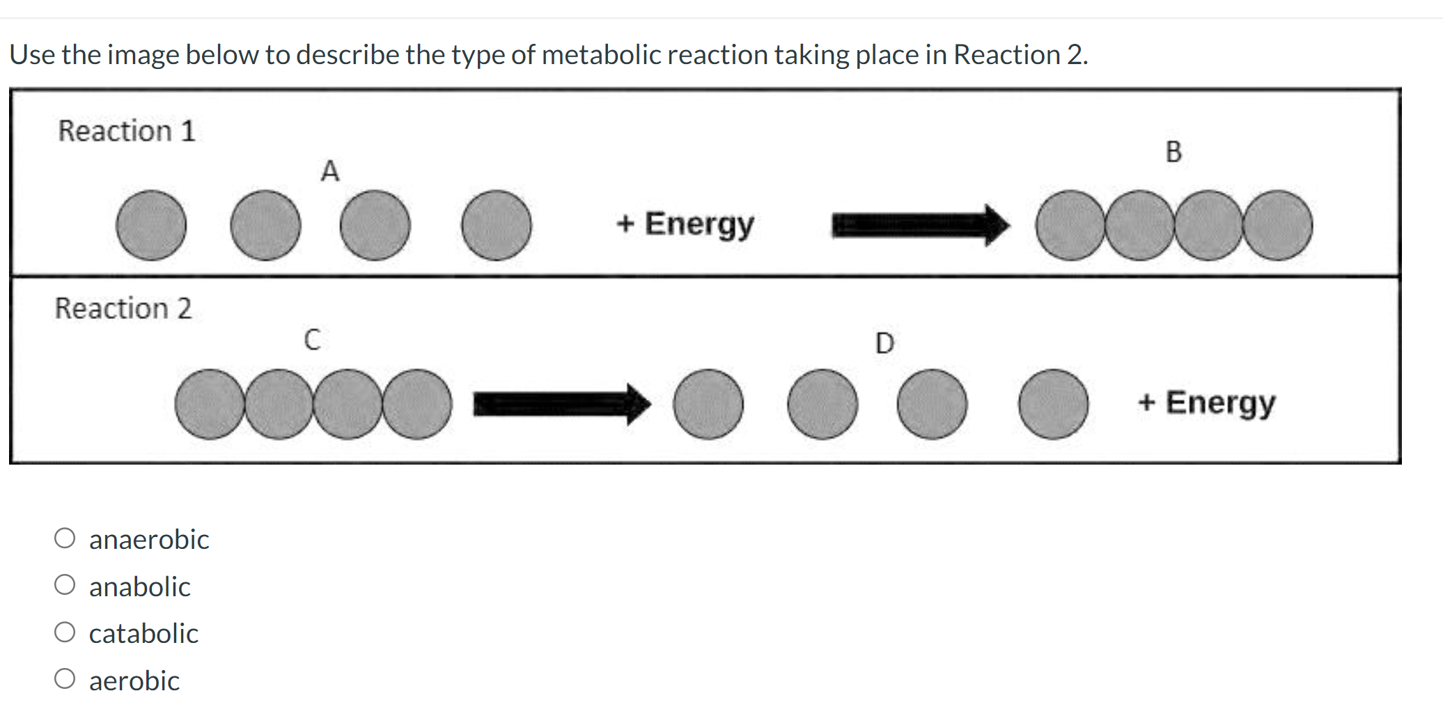 Solved Use the image below to describe the type of metabolic | Chegg.com