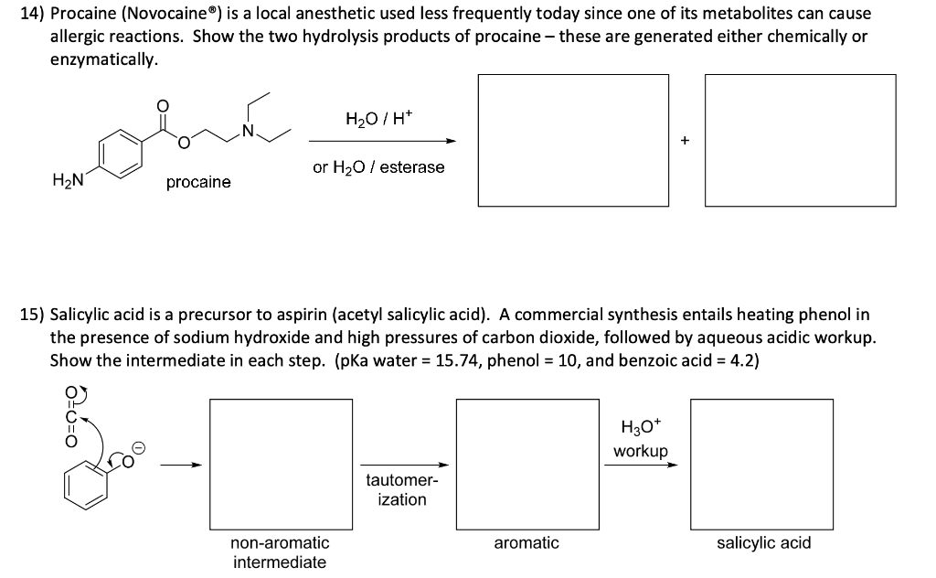 Solved Procaine (Novocaine®) is a local anesthetic used less | Chegg.com