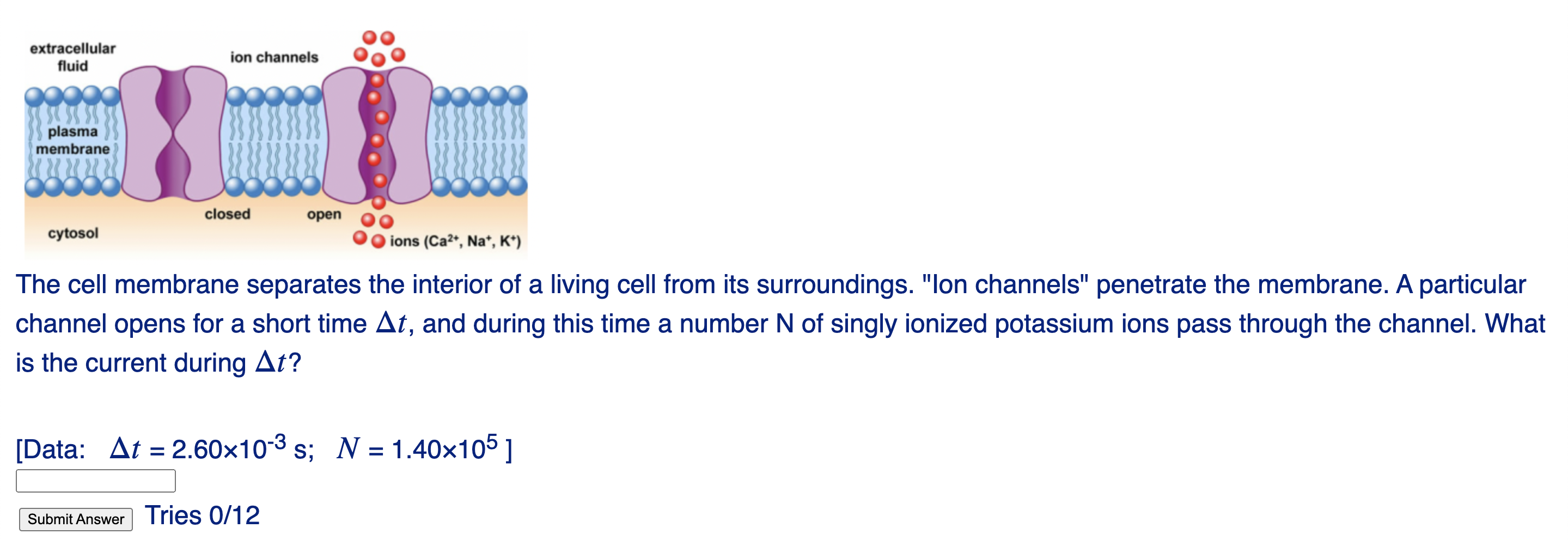 Solved extracellular fluid ion channels plasma membrane | Chegg.com