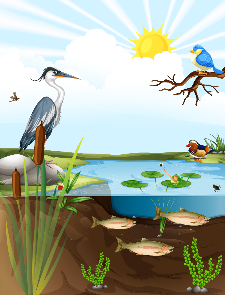 Solved Identify at least 5 biotic and 5 abiotic factors of | Chegg.com