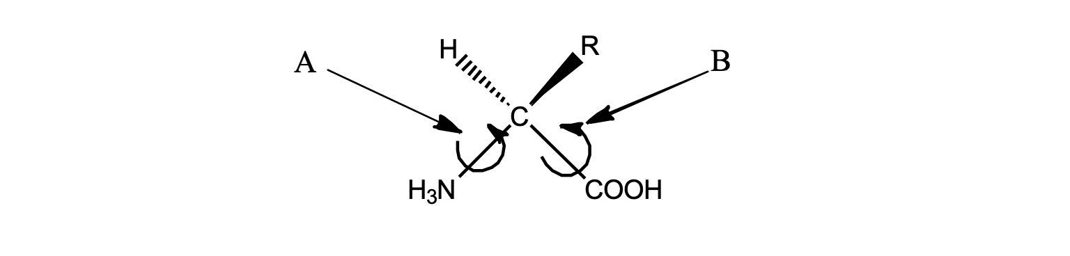 Positive cooperativity means that binding of one | Chegg.com
