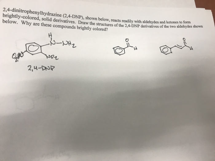 Solved 2 4 Dinitrophenylhydrazine 2 4 Dnp Shown Below