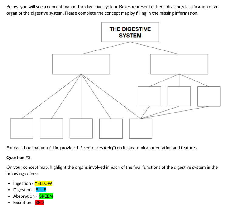 Solved Below, you will see a concept map of the digestive | Chegg.com