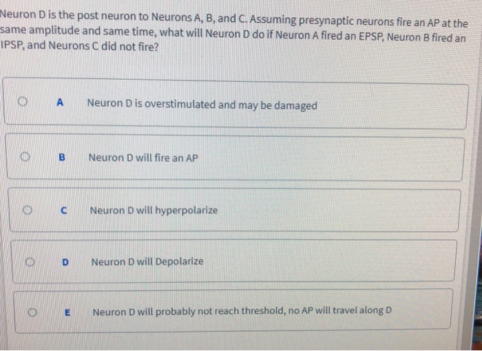 Solved Neuron D is the post neuron to Neurons A, B, and C. | Chegg.com
