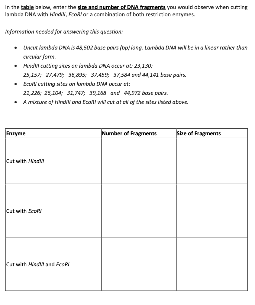 Solved In the table below, enter the size and number of DNA | Chegg.com