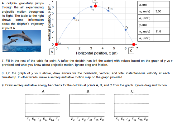 A dolphin gracefully jump through the air, | Chegg.com